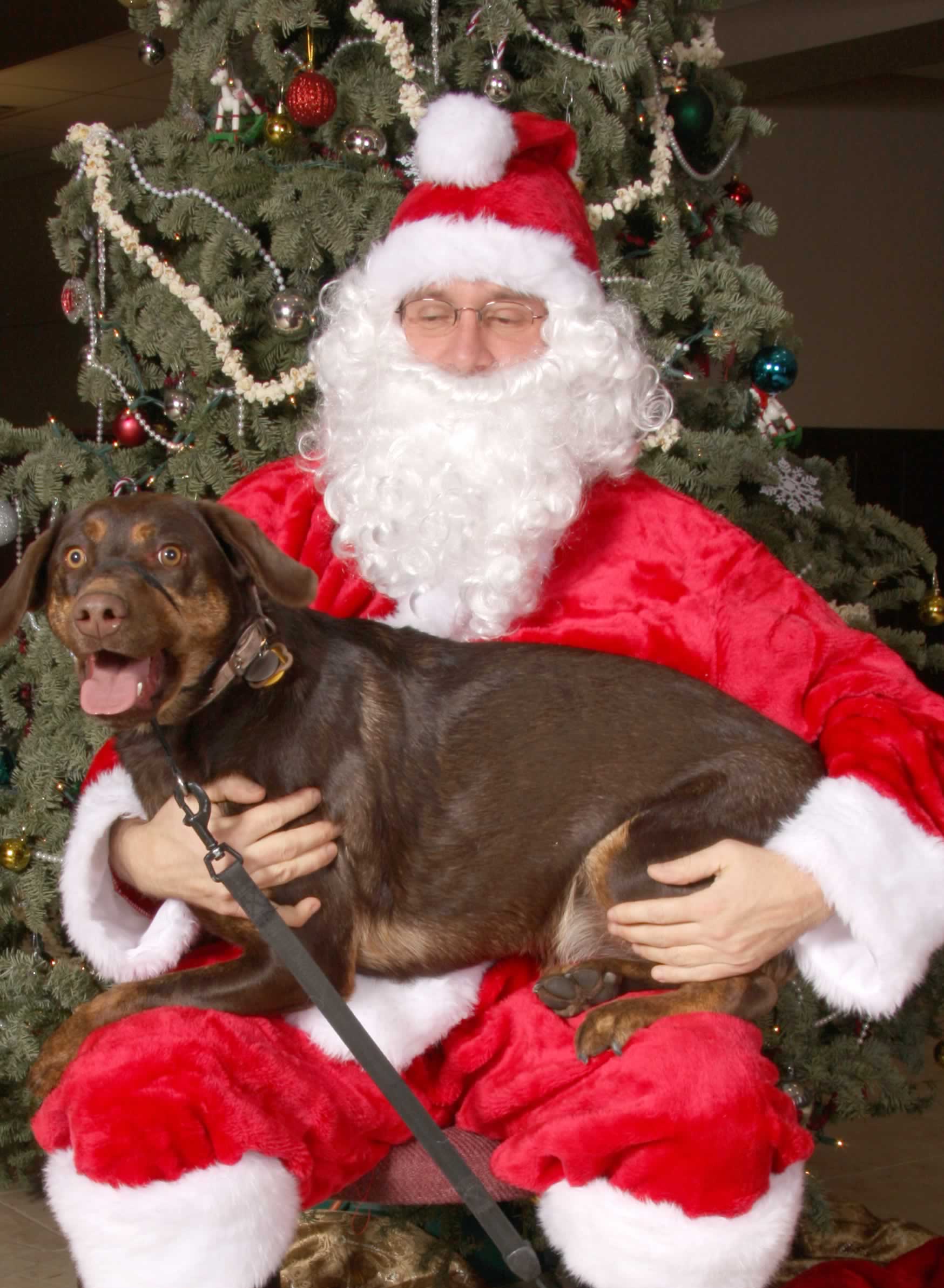 12/18 CMCA Photos with Santa / IMG_4997.tif